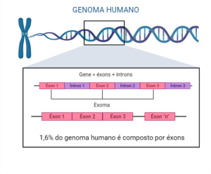 Exame de Exoma - Brasil Apoio
